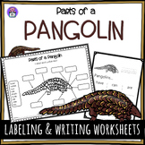 Label The Pangolin Parts Of A Pangolin Worksheet - Writing And Labeling ...