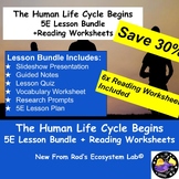 The Human Life Cycle Begins Complete 5E Lesson & Reading Worksheets ...