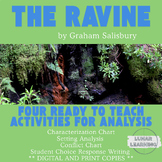 THE RAVINE - 4 Ready To Teach Activities (character, Setting, Conflict ...