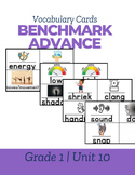 Benchmark Advance First Grade Vocabulary Cards With Pictures | Unit 10 ...