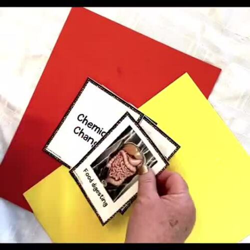 PHYSICAL AND CHEMICAL CHANGES Matching Game Sort Cards Review - TPT