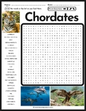 Chordates Word Search | Taxonomy | Zoology | Classification | Phylum ...